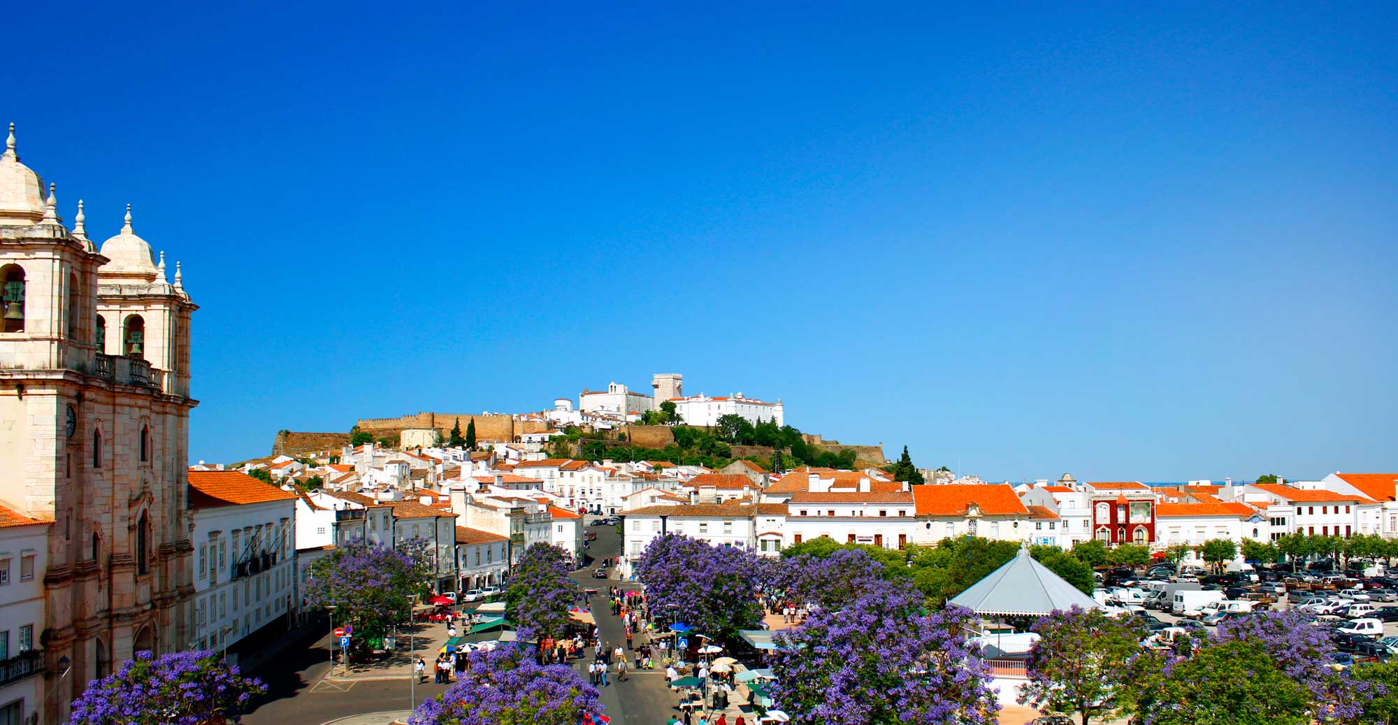 Estremoz » Enoturismo
