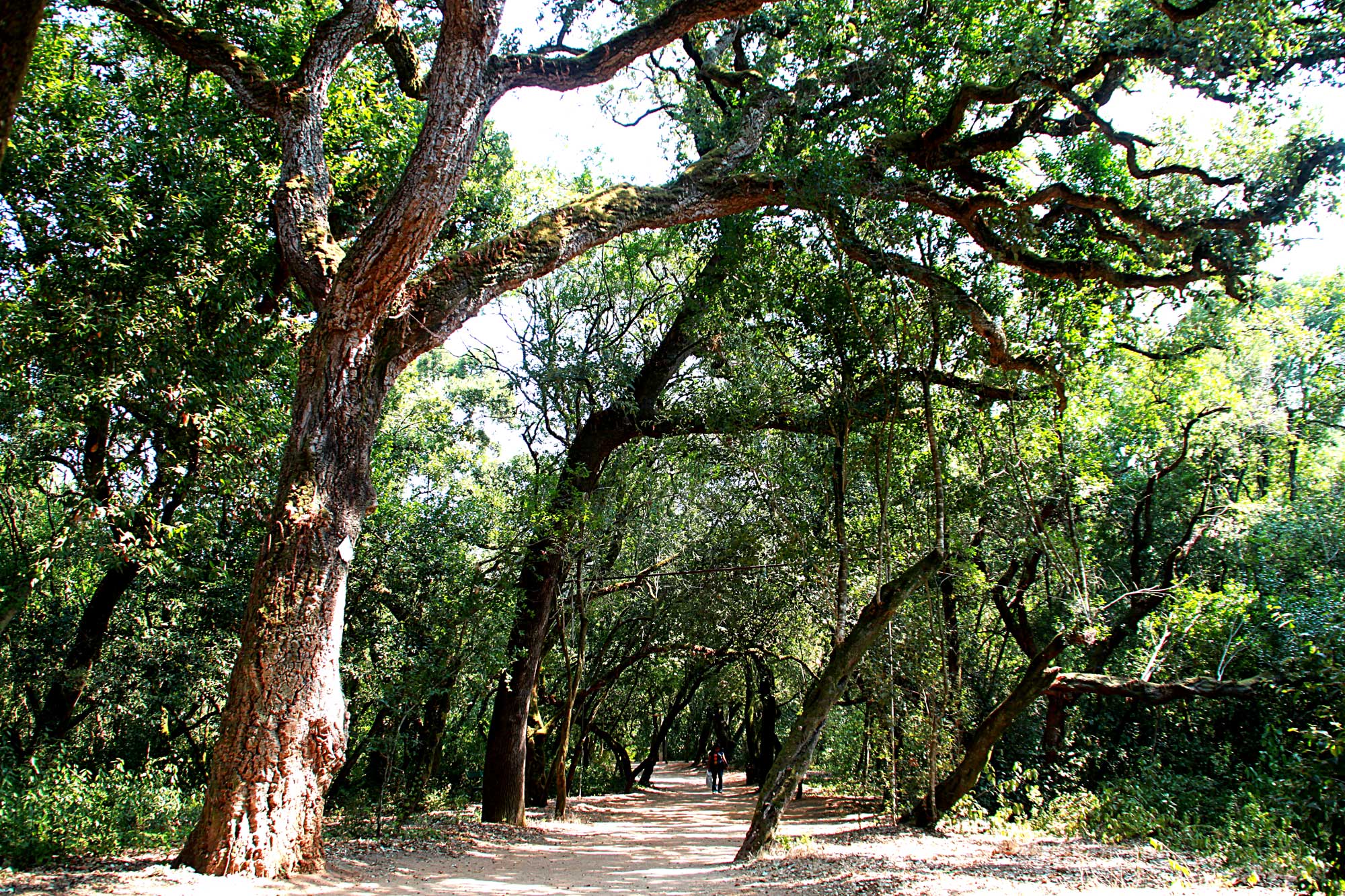 Bombarral » Enoturismo